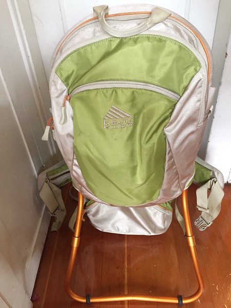 Kelty Kids Backpack Carrier – Practically Apparent
