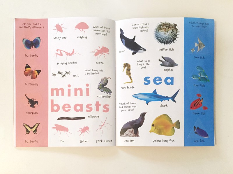 Animal Sticker Activity Book – Practically Apparent