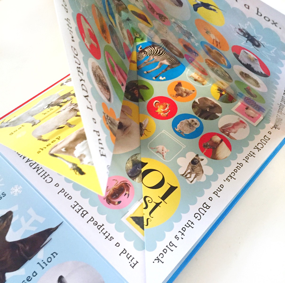 101 First Animals Book – Practically Apparent