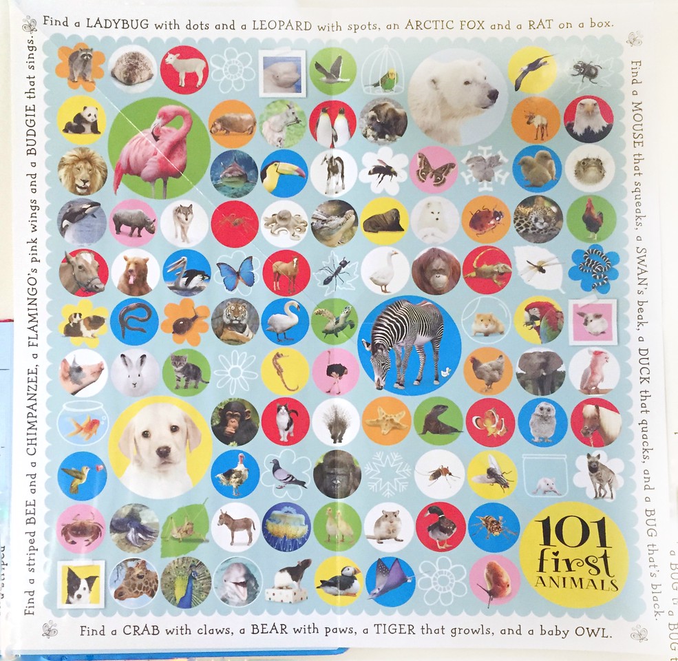 101 First Animals Book – Practically Apparent