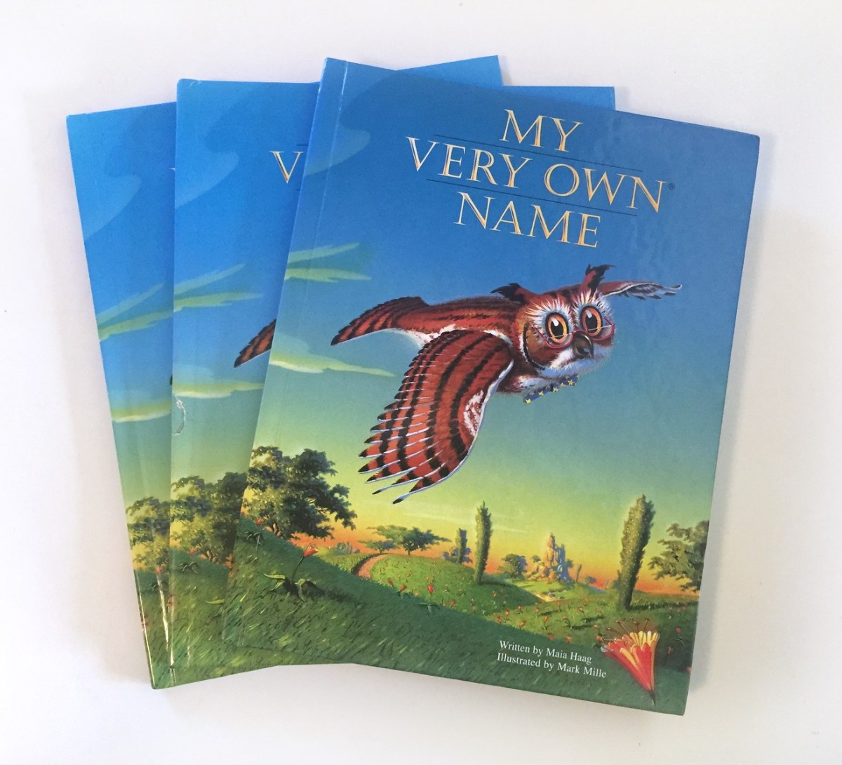 My Very Own Name Book – Practically Apparent