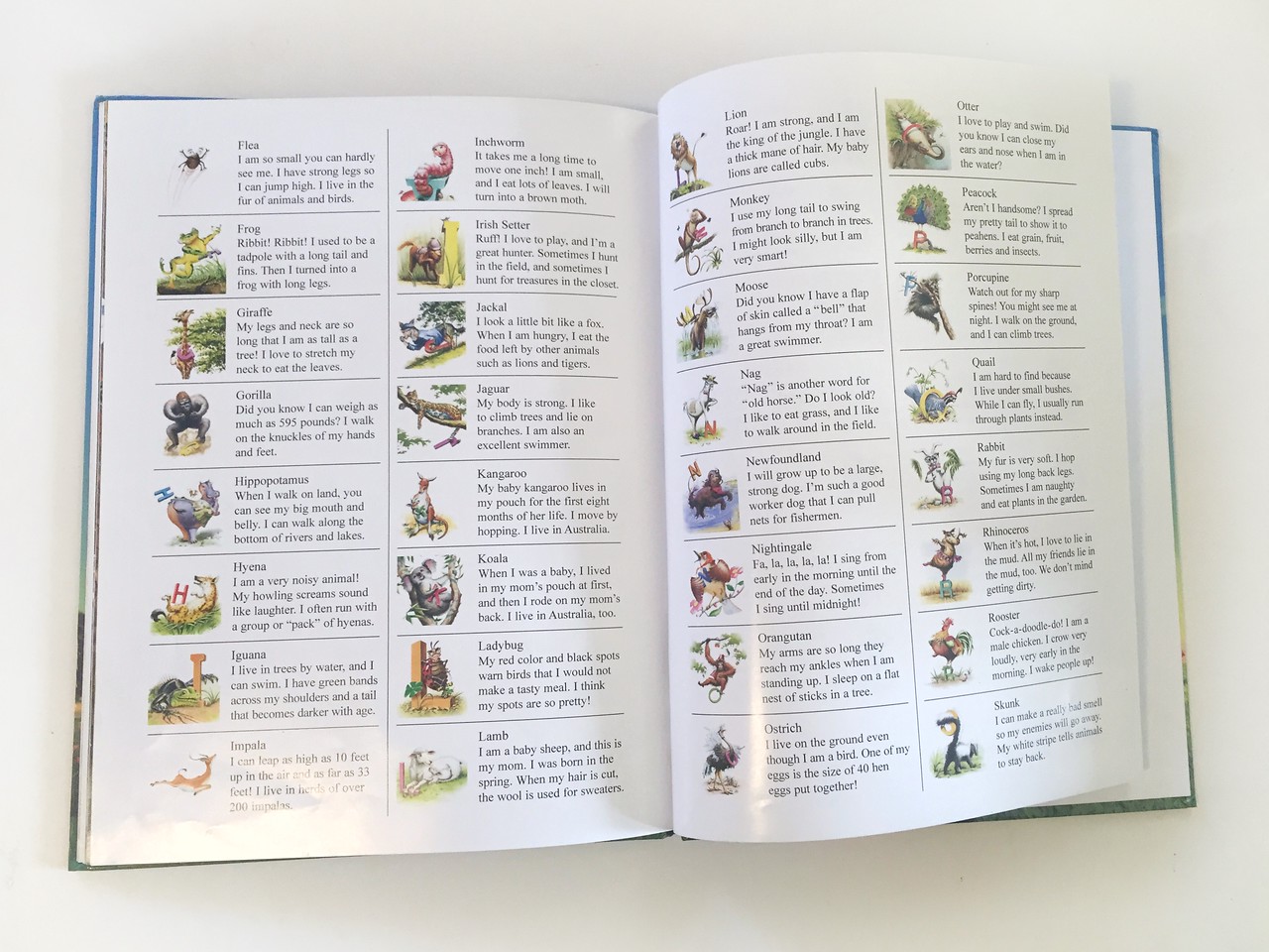 My Very Own Name Book – Practically Apparent