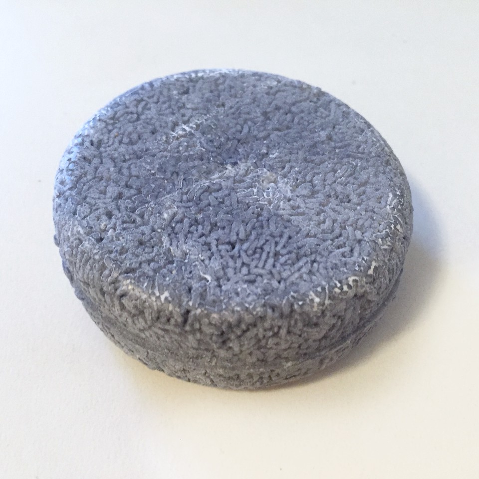 Lush Solid Shampoo – Practically Apparent