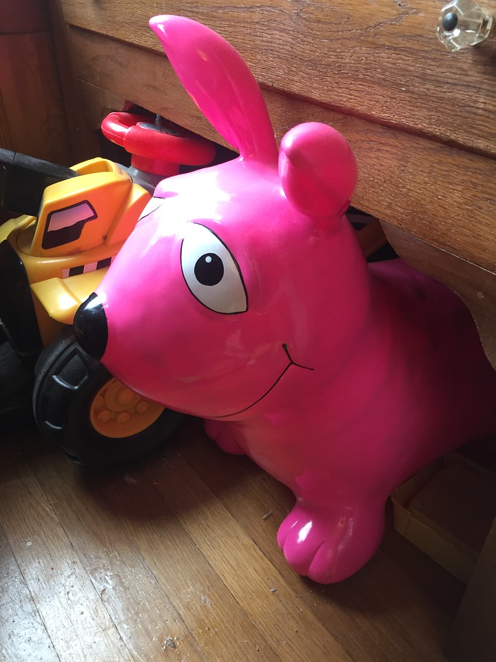 Pink Dog – Practically Apparent