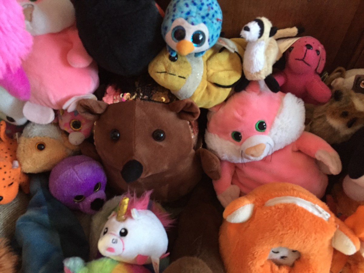 Stuffed Animal Museum – Practically Apparent