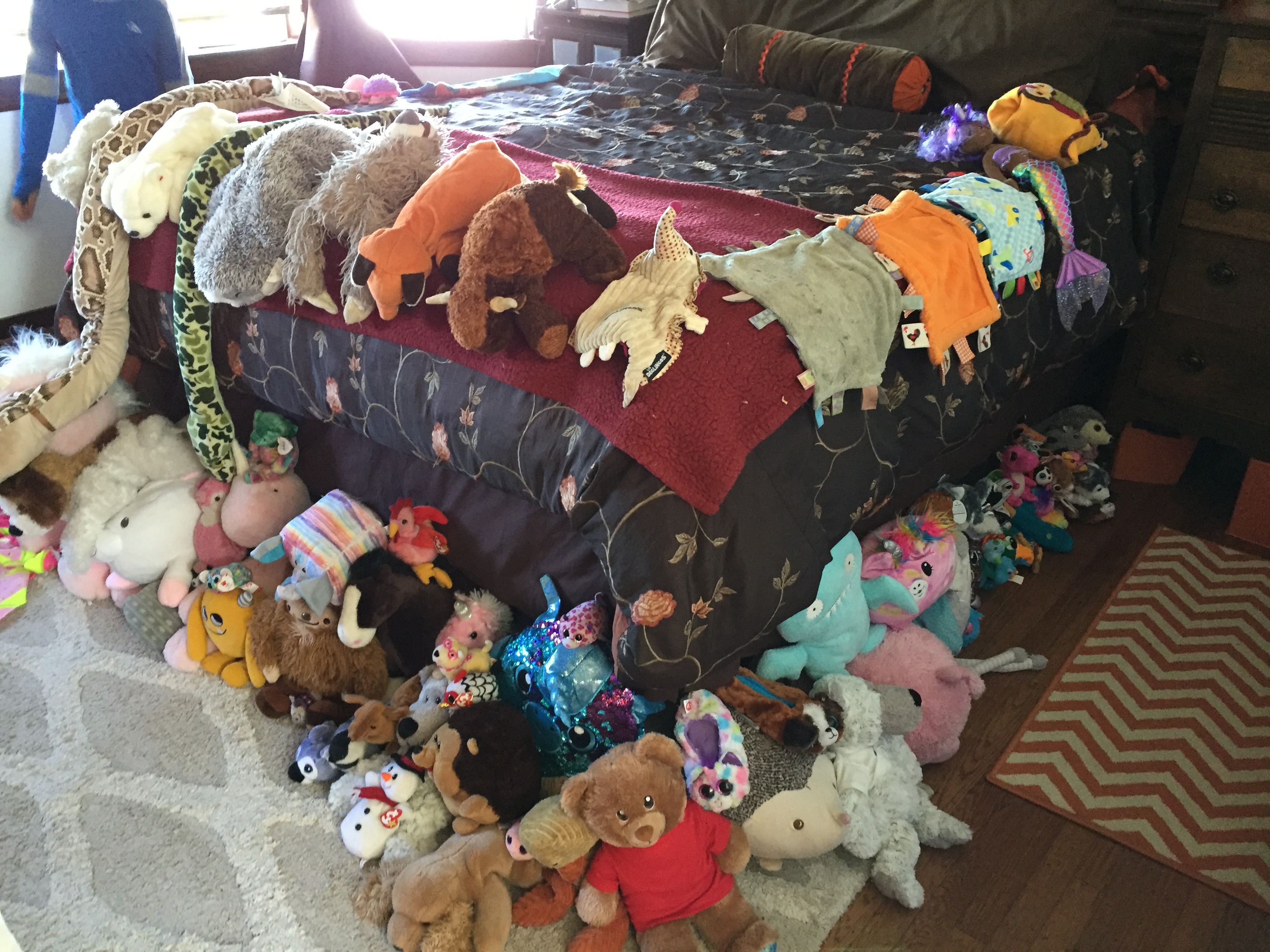 Stuffed Animal Museum – Practically Apparent