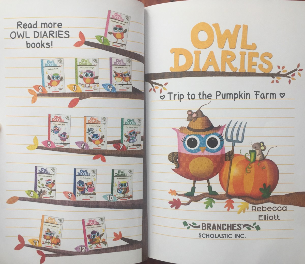 Owl Diaries – Practically Apparent