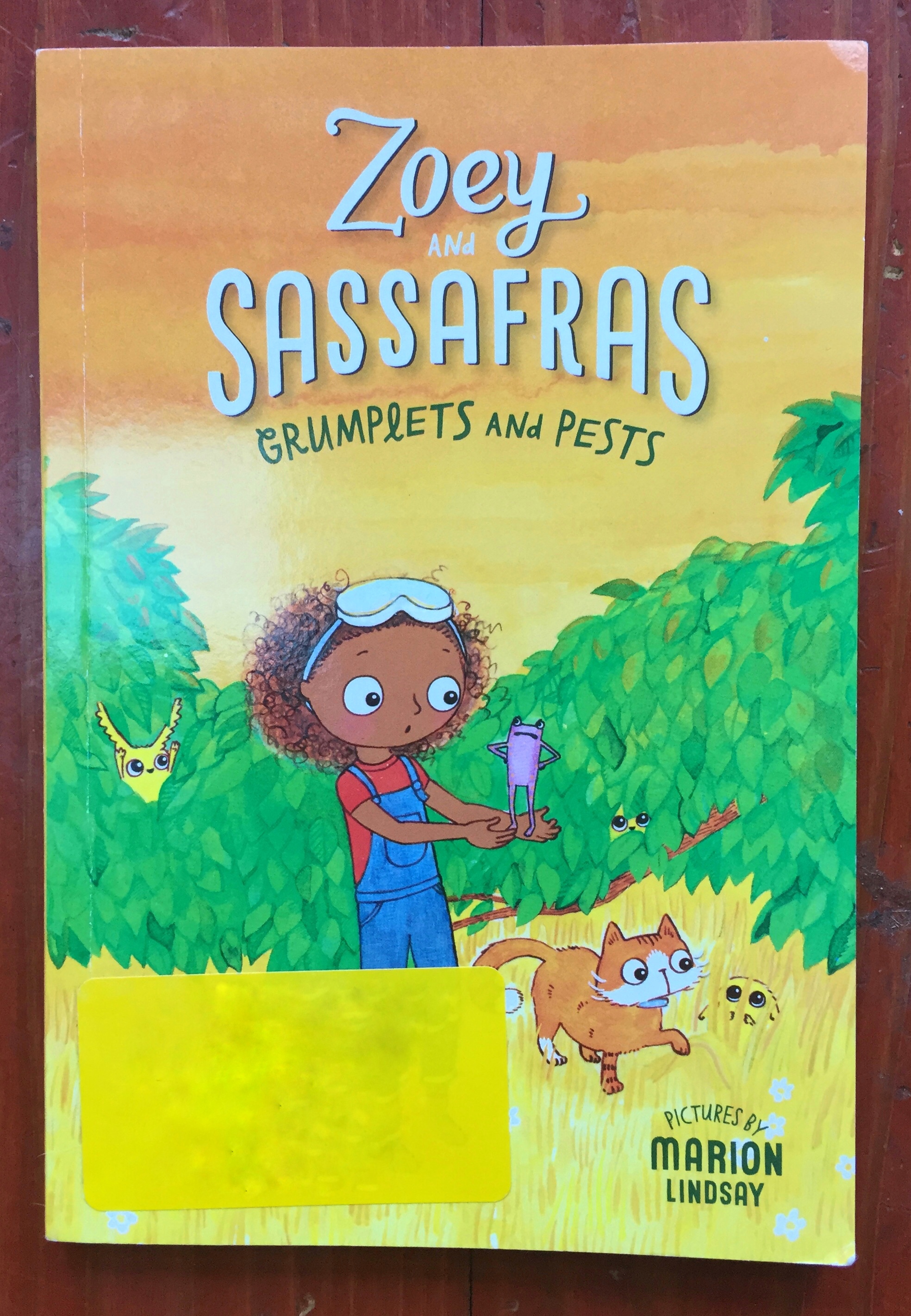 Zoey and Sassafras Books – Practically Apparent