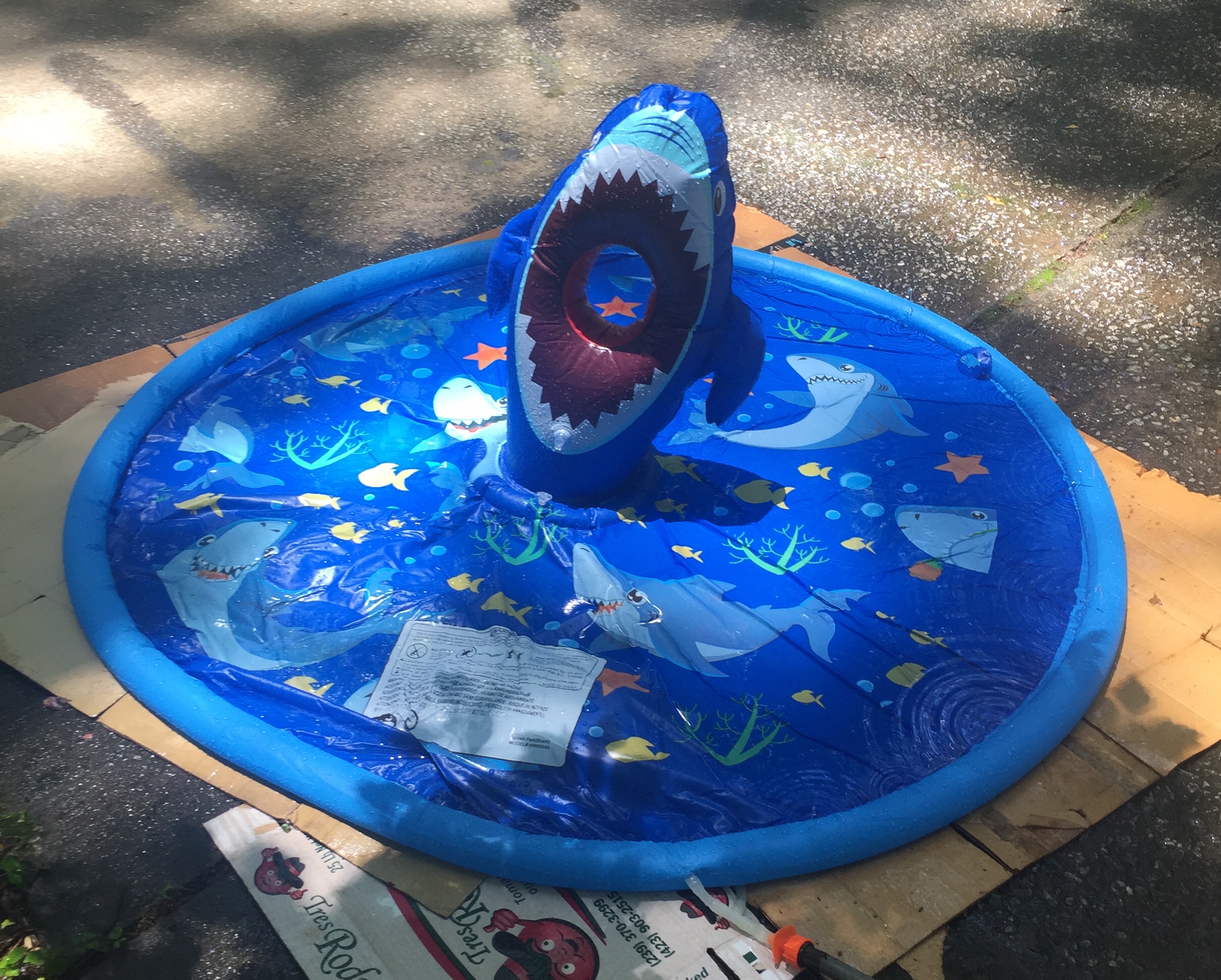 Shark Splash Pad – Practically Apparent