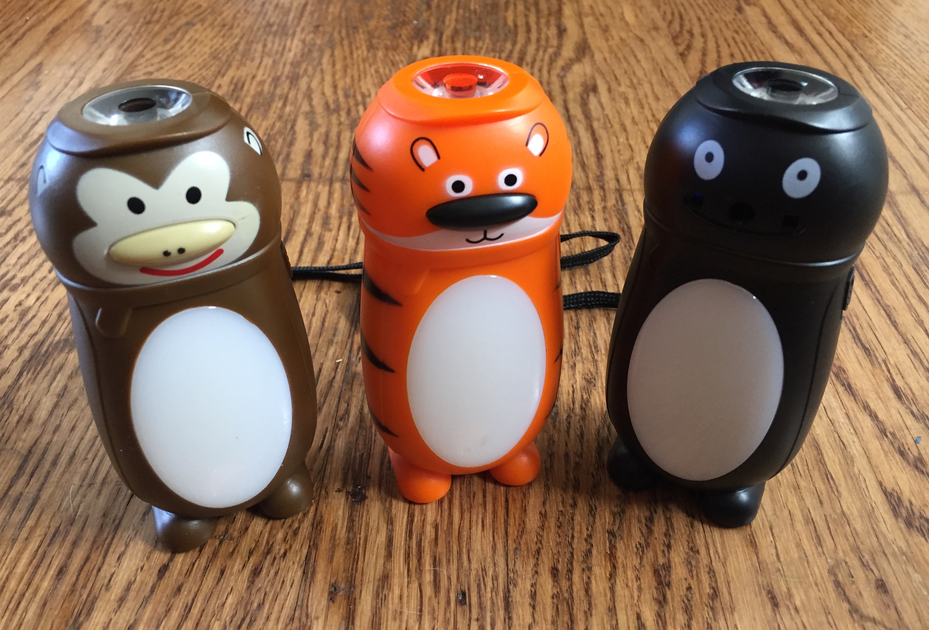 Animal Flashlight Lanterns – Practically Apparent