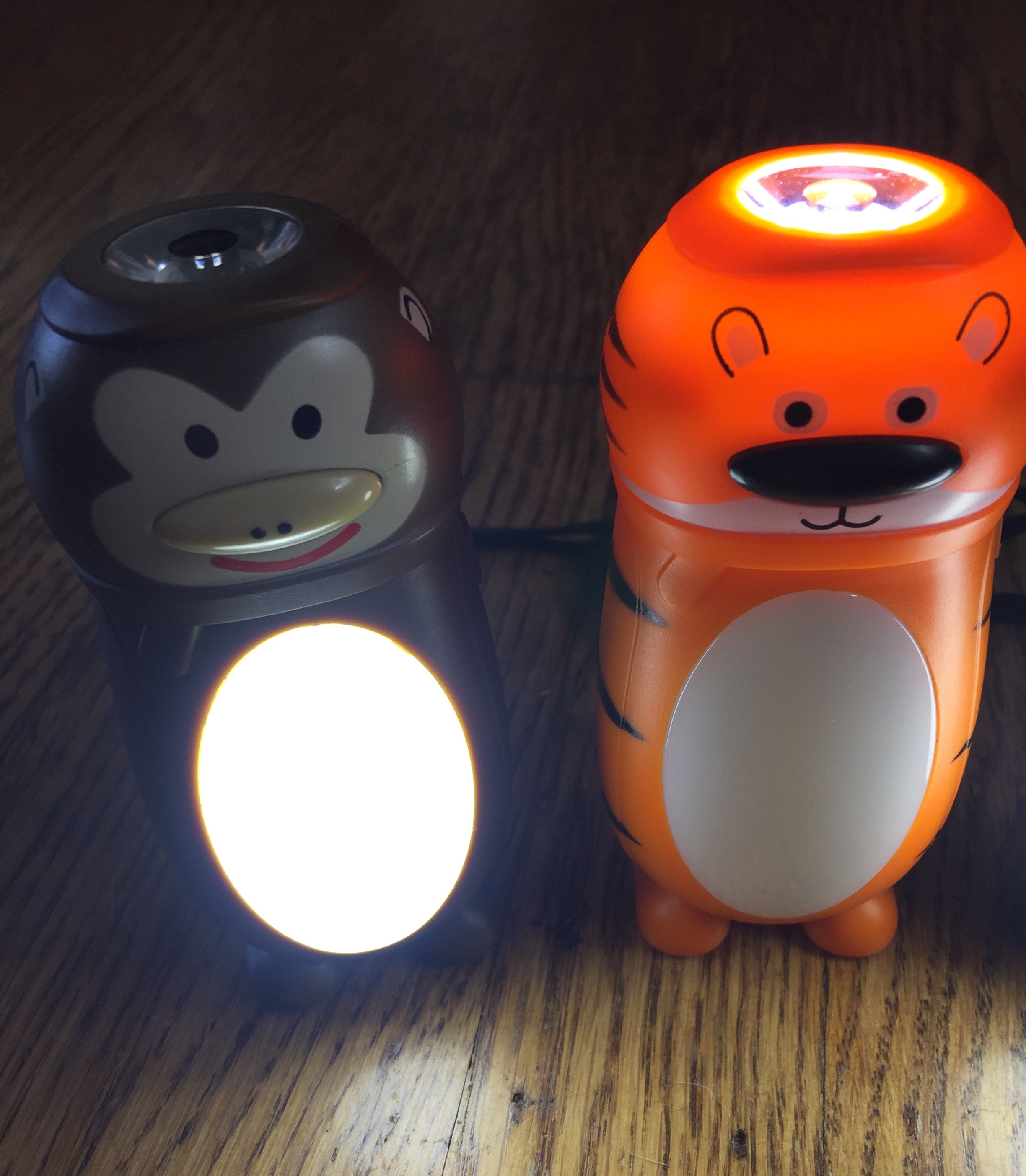 Animal Flashlight Lanterns – Practically Apparent