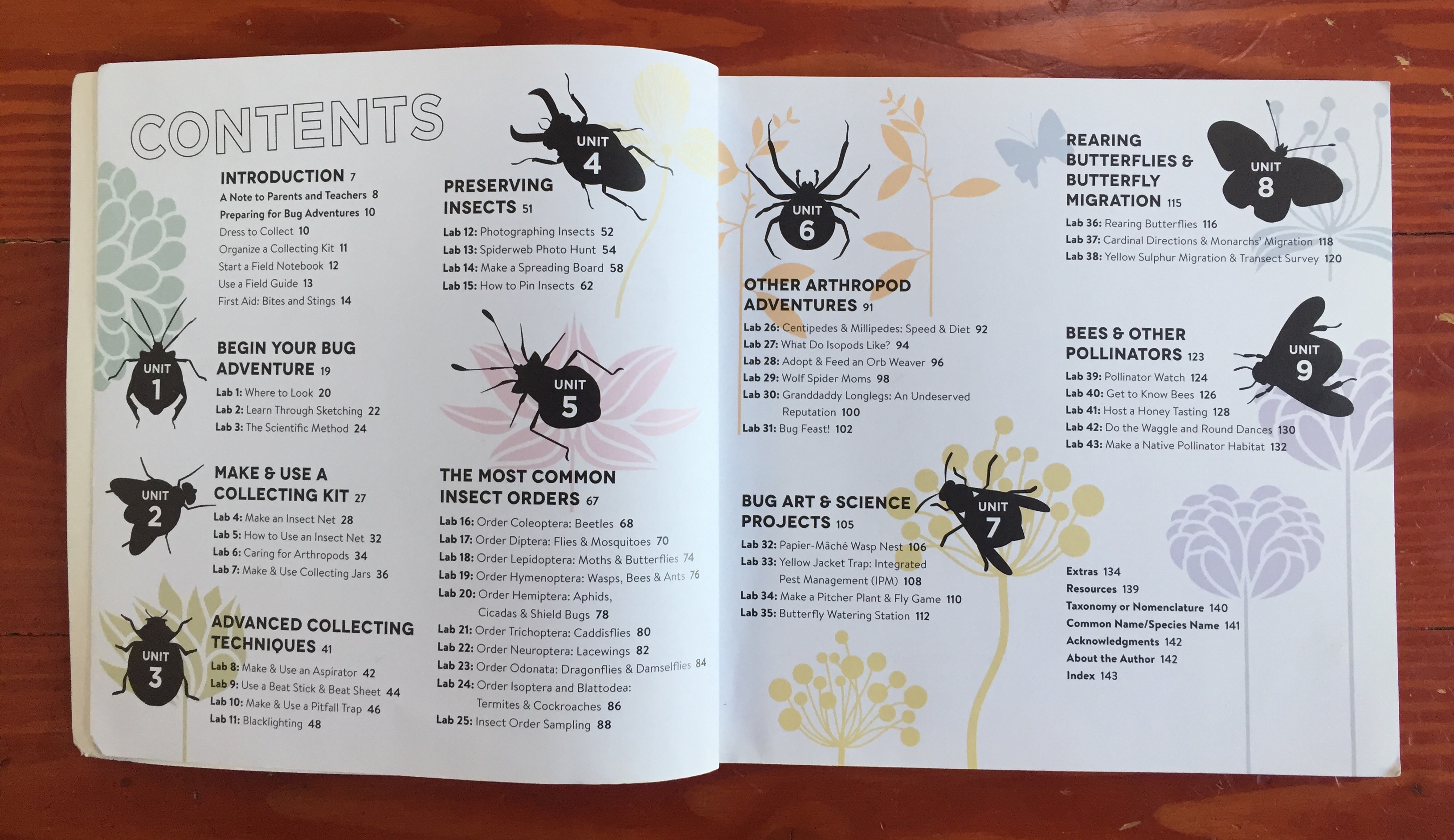 Bug Lab for Kids – Practically Apparent