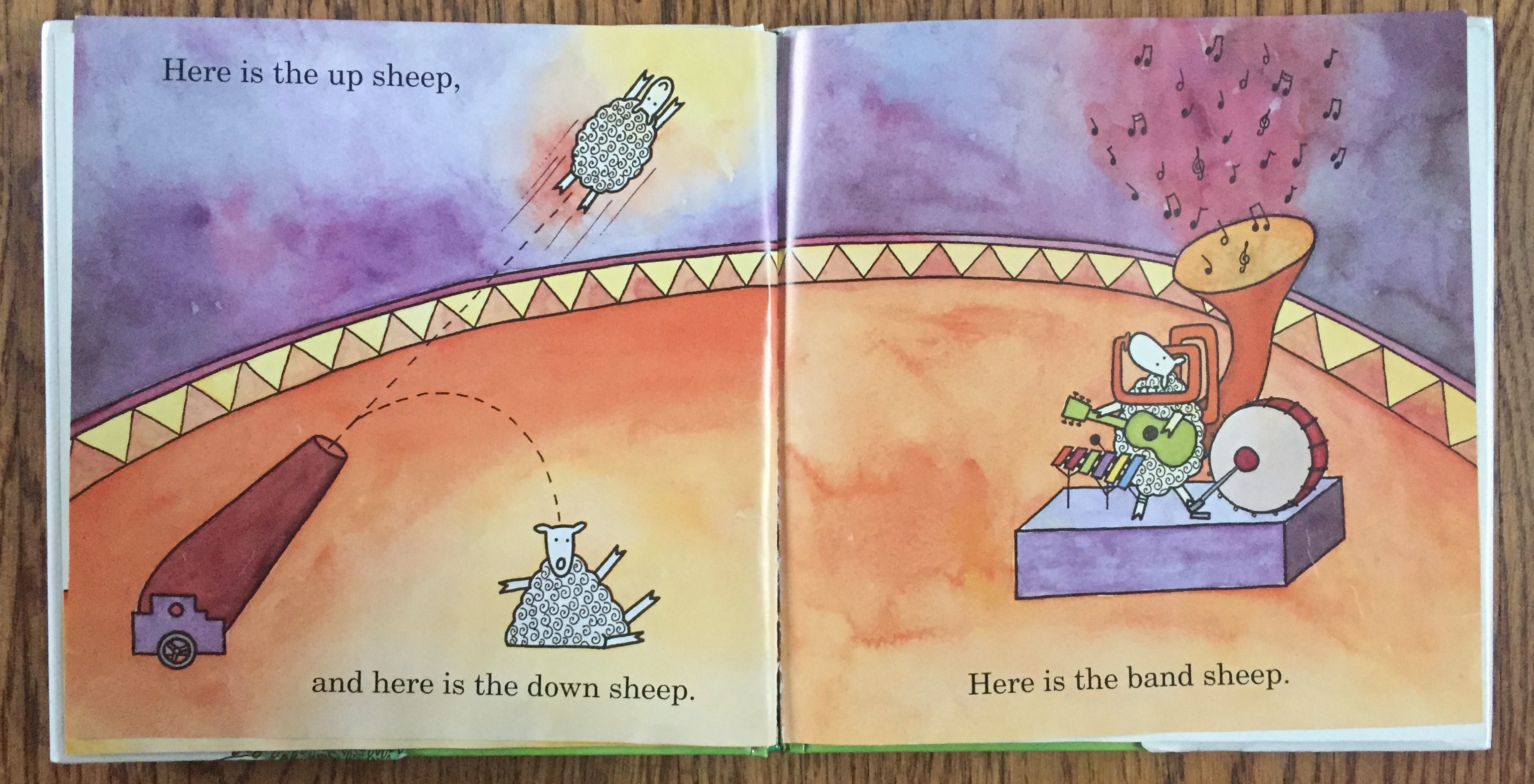 Where Is The Green Sheep? Book – Practically Apparent