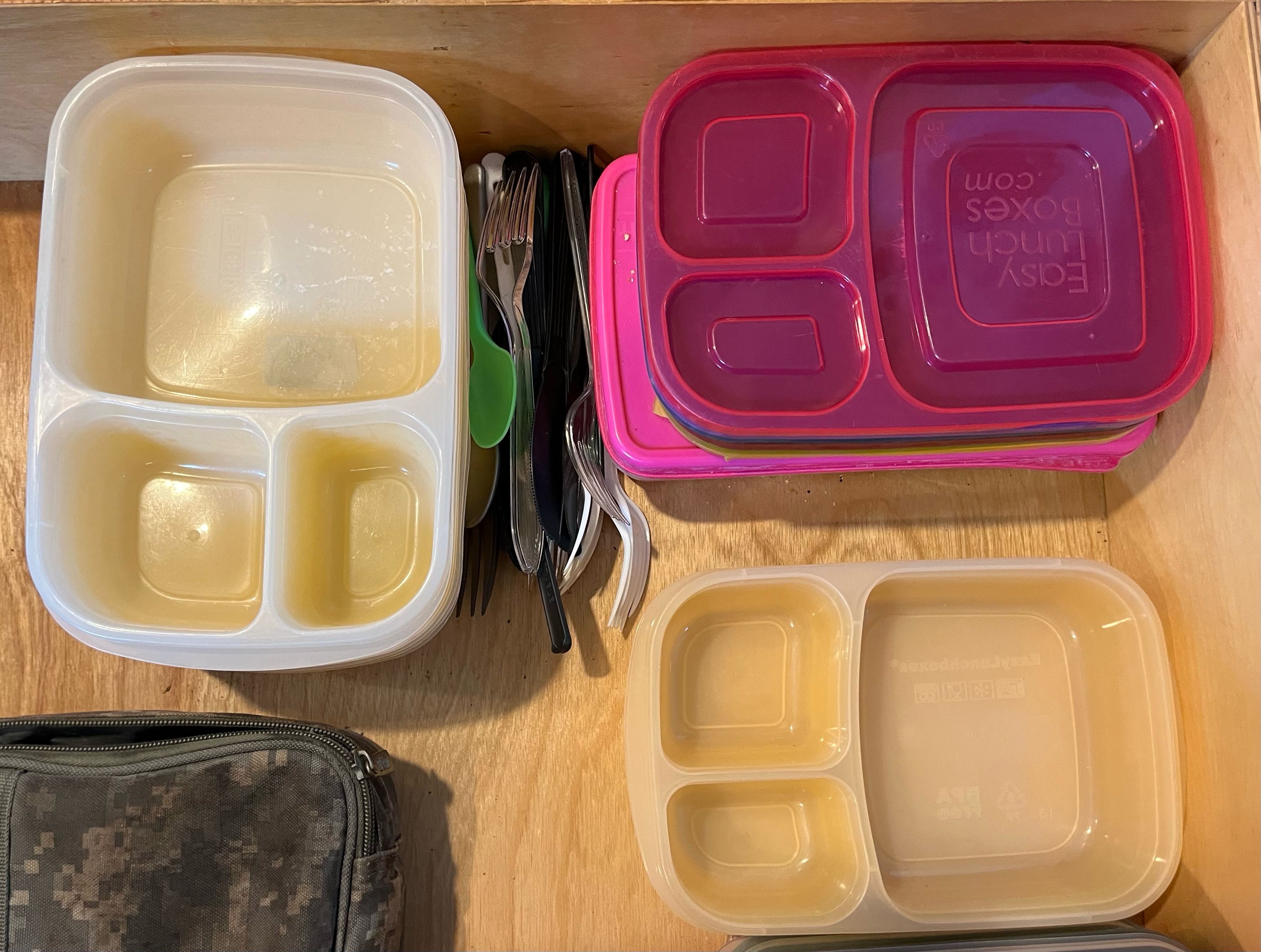 The Best Reusable Lunch Boxes for School – Practically Apparent