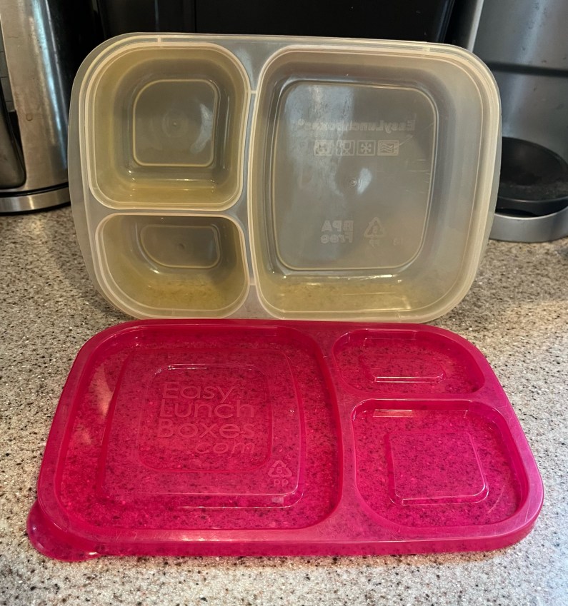 The Best Reusable Lunch Boxes for School – Practically Apparent