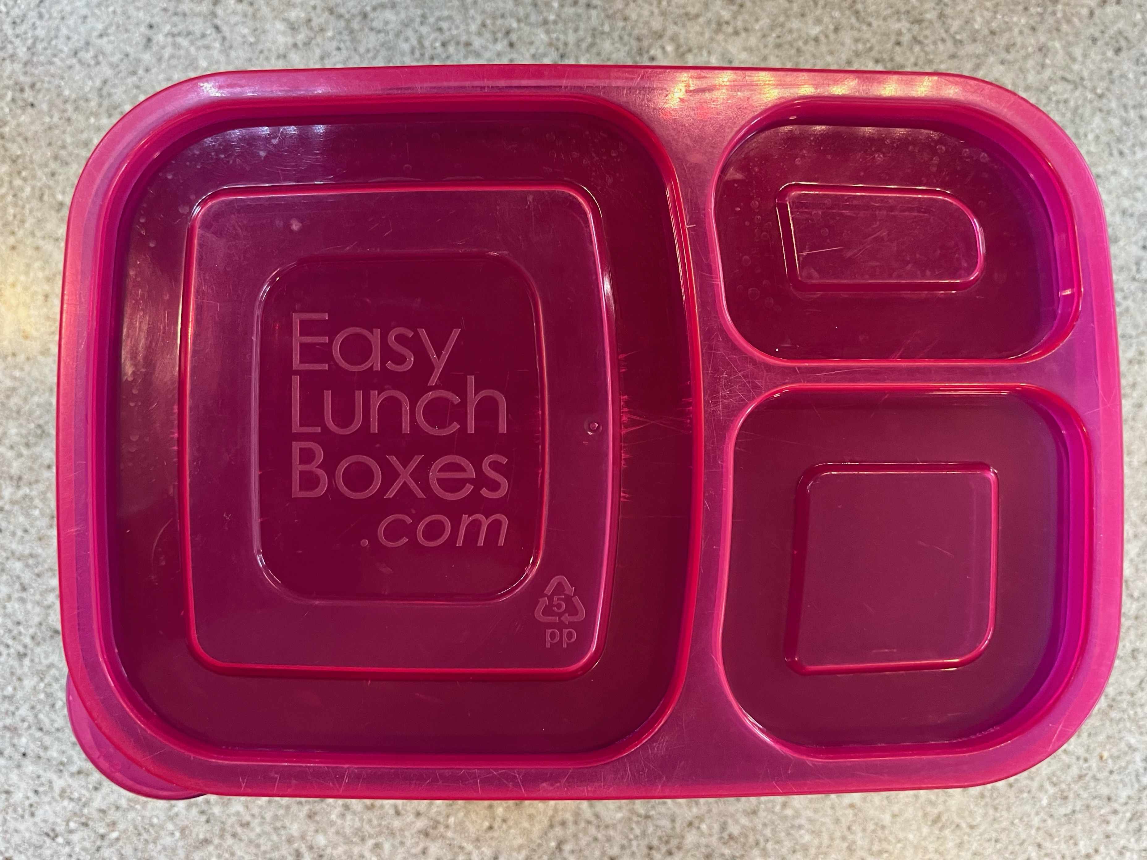 The Best Reusable Lunch Boxes for School – Practically Apparent