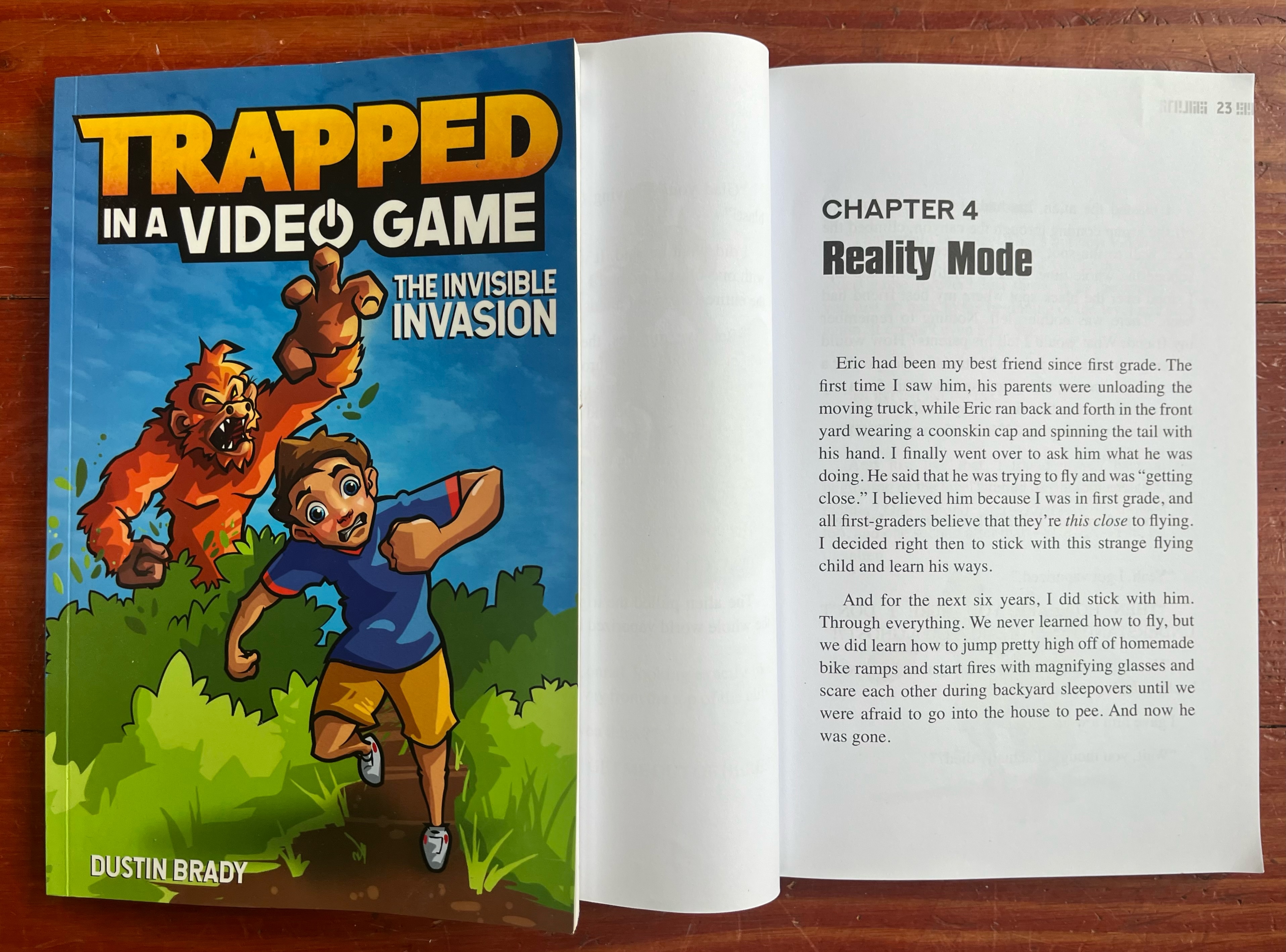 Trapped in a Video Game Books – Practically Apparent