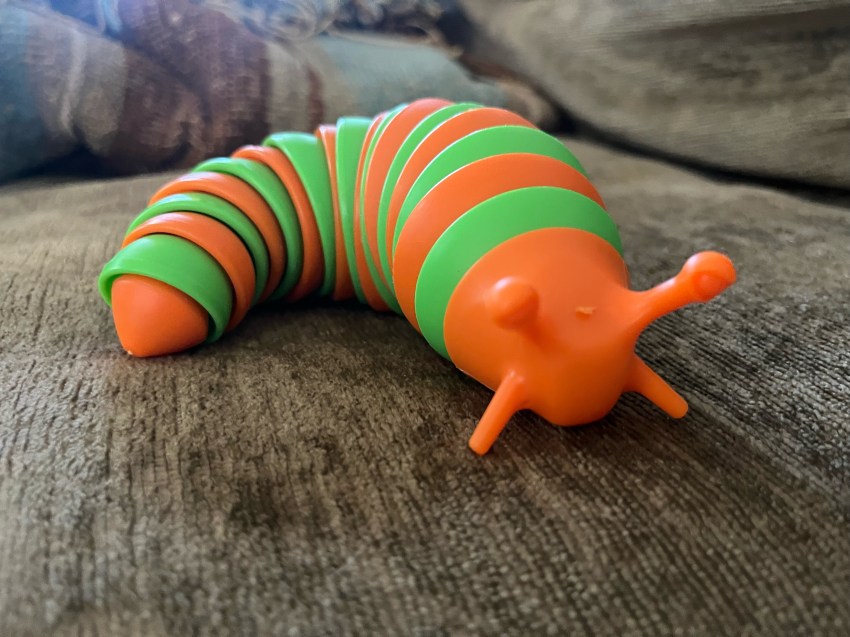 Why We Love This Slug Fidget Toy – Practically Apparent