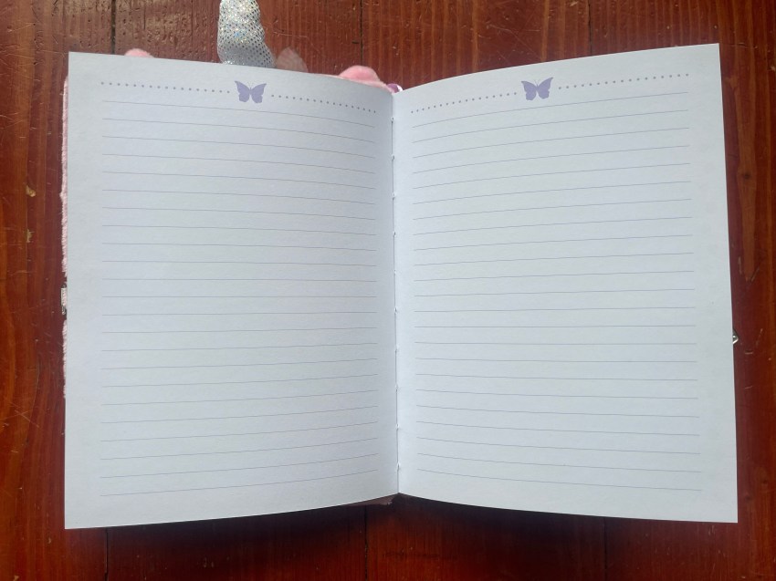 Make Writing Fun With This Plush Diary For Kids – Practically Apparent