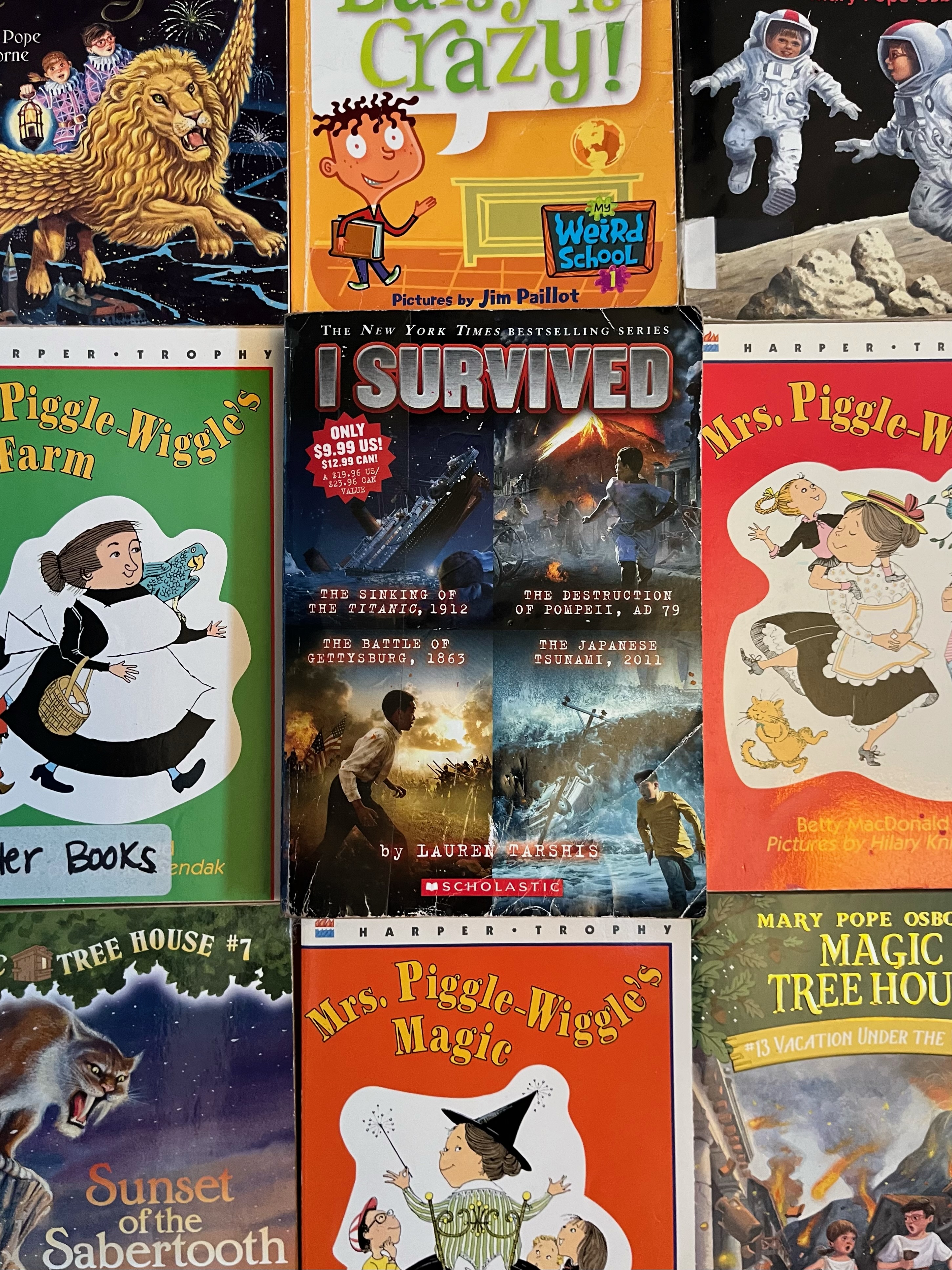 Great Chapter Books For Kids Ages Six to Nine – Practically Apparent